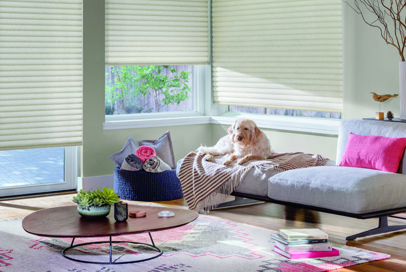 The Best Pet Friendly Window Coverings? | Austin Window Fashions