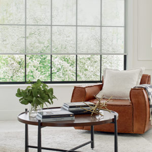 Window Shades and Blinds Austin TX | Hunter Douglas