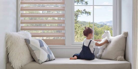 design ideas | Austin Window Fashions