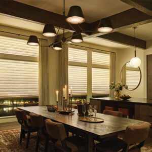 Window Covering Solutions Austin TX | Window Shade Features