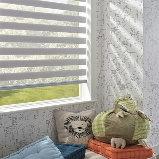 Window Covering Solutions Austin TX | Window Shade Features