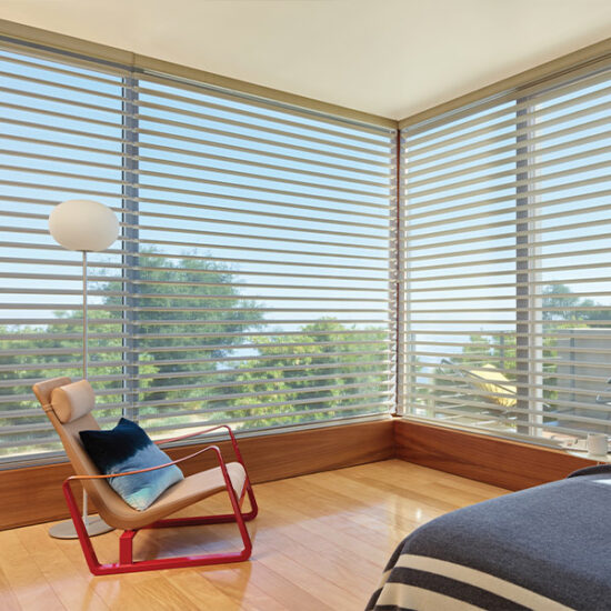 Window Covering Solutions Austin TX | Window Shade Features