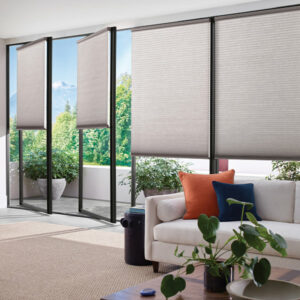 Window Covering Solutions Austin TX | Window Shade Features